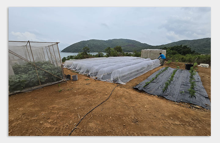 O · PARK1 - Compost