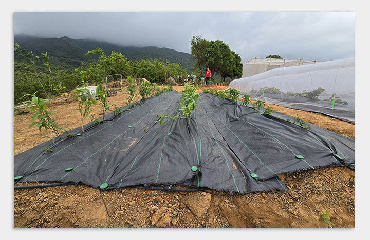 O · PARK1 - Compost